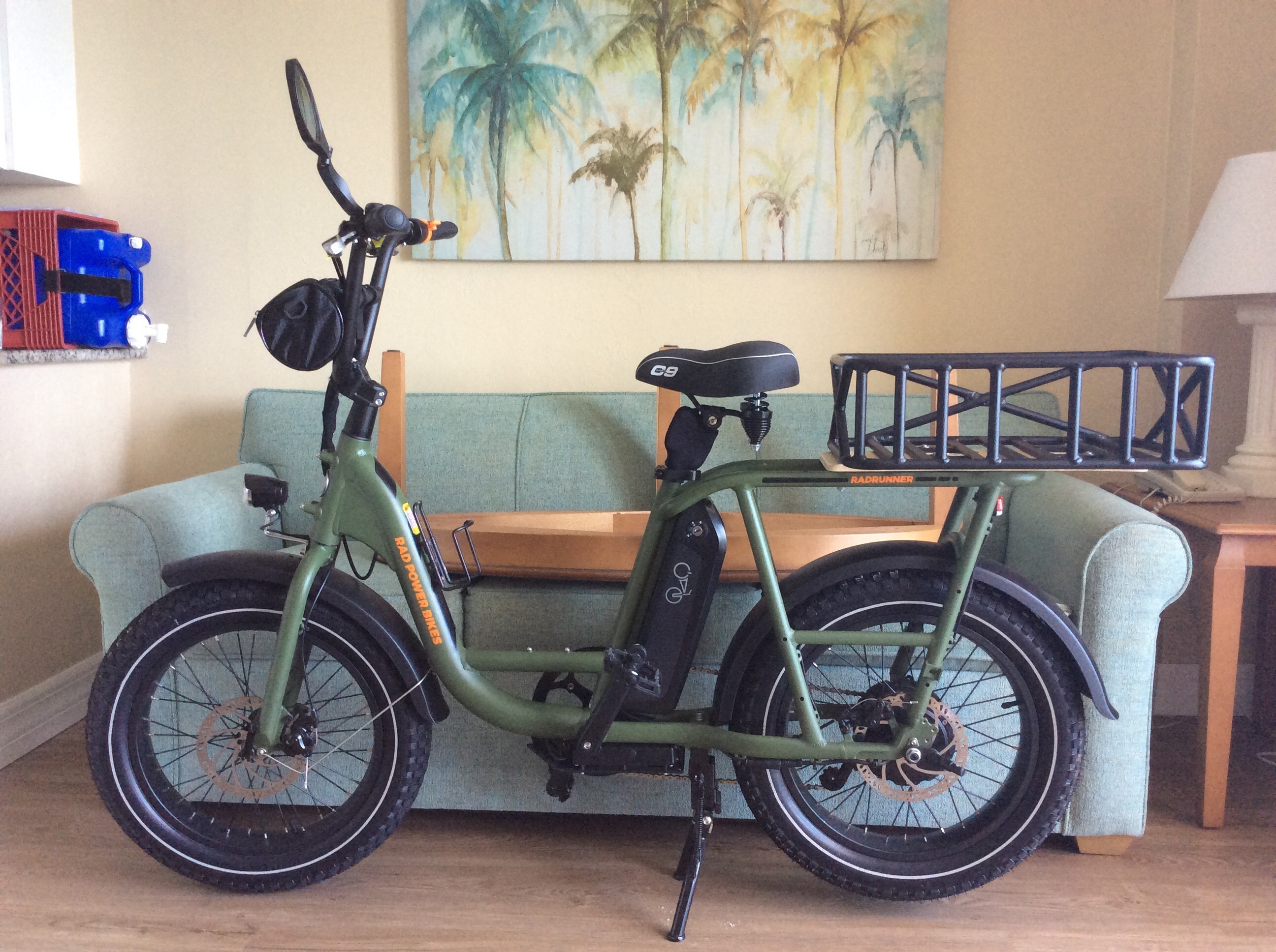 2021 Rad Power Bikes RadRunner