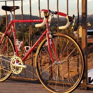 1988 De Rosa Professional SLX