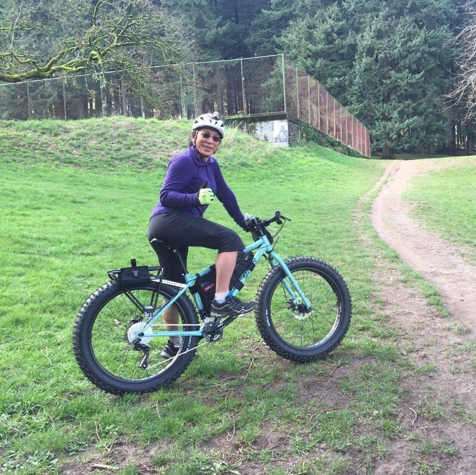 2015 Surly Wednesday