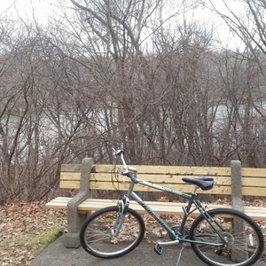 2004 Raleigh Sc 40 medium