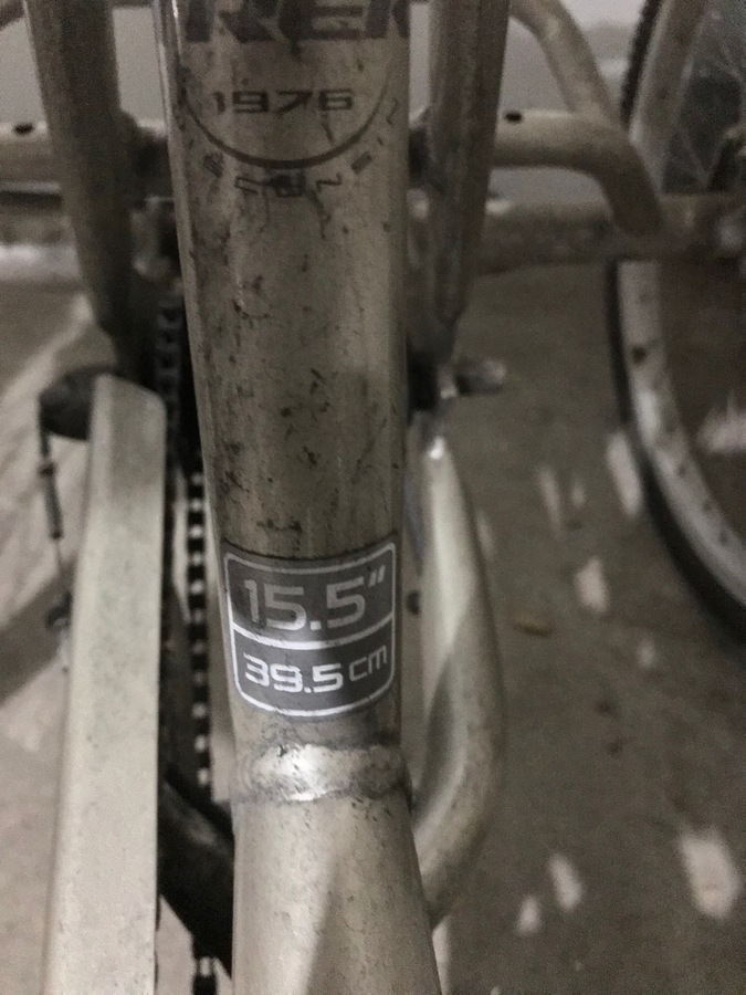 2011 Trek Pure DLX Trike tricycle