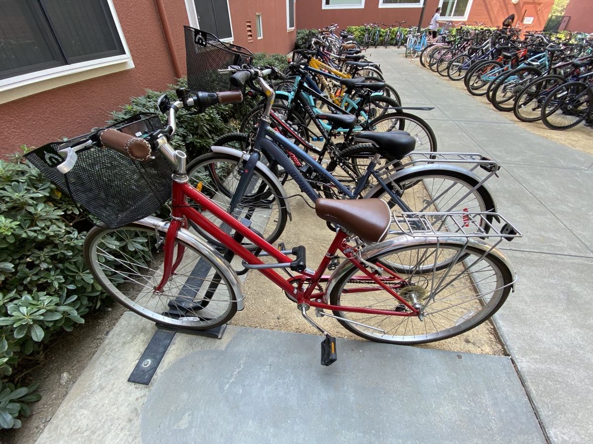 Schwinn Wayfarer Womens