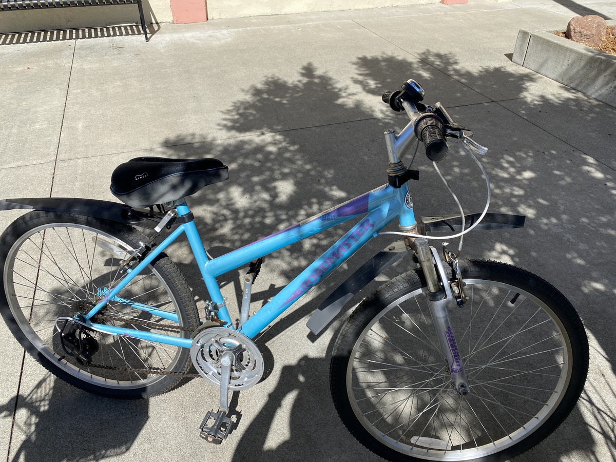 Roadmaster hybrid/road&mountain bike