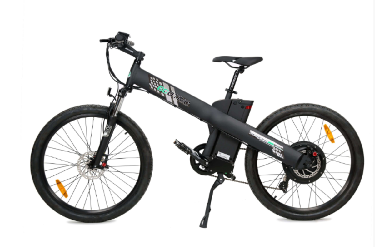 2020 ECOTRIC SEAGULL
