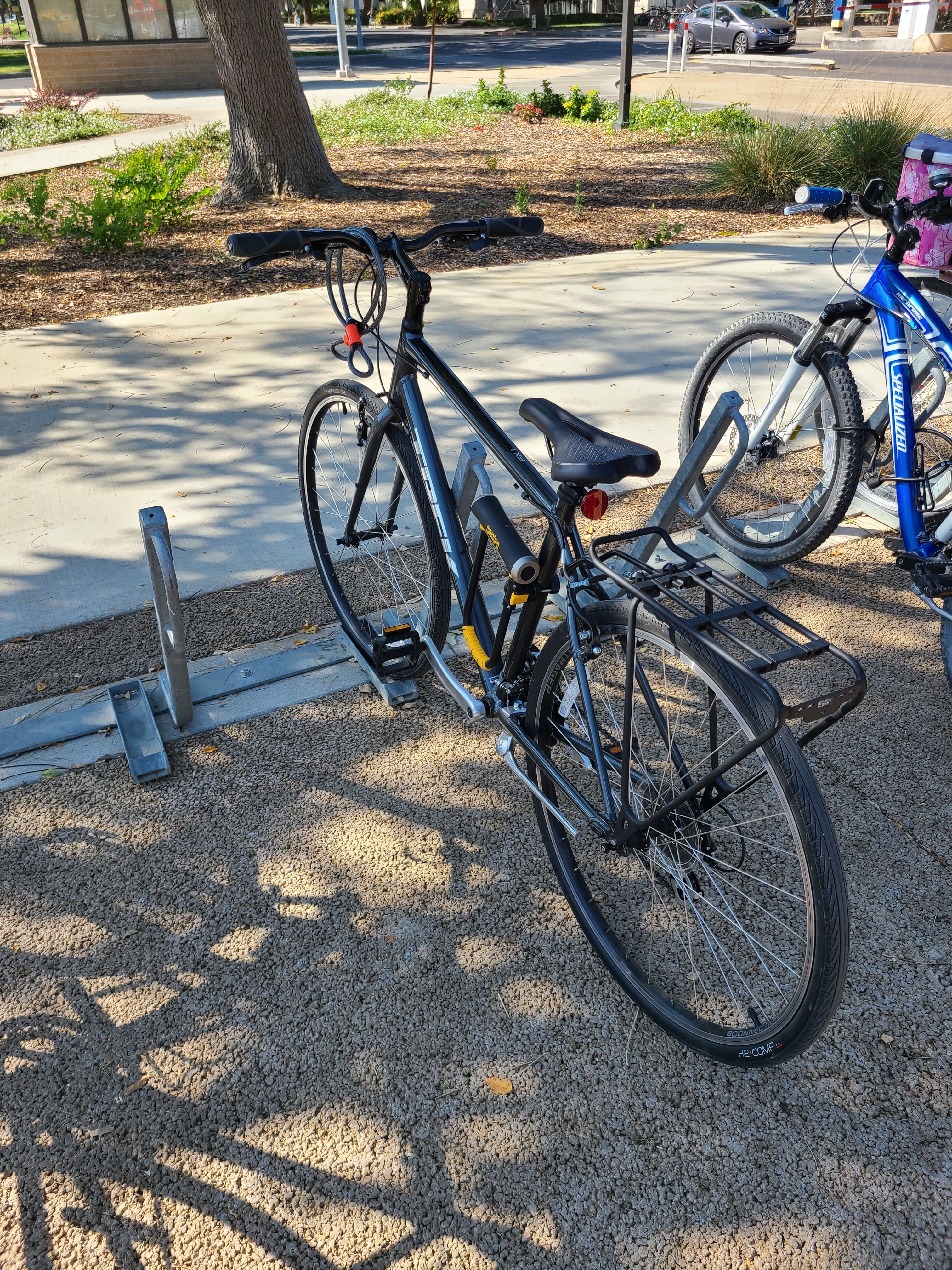2020 Trek FX1