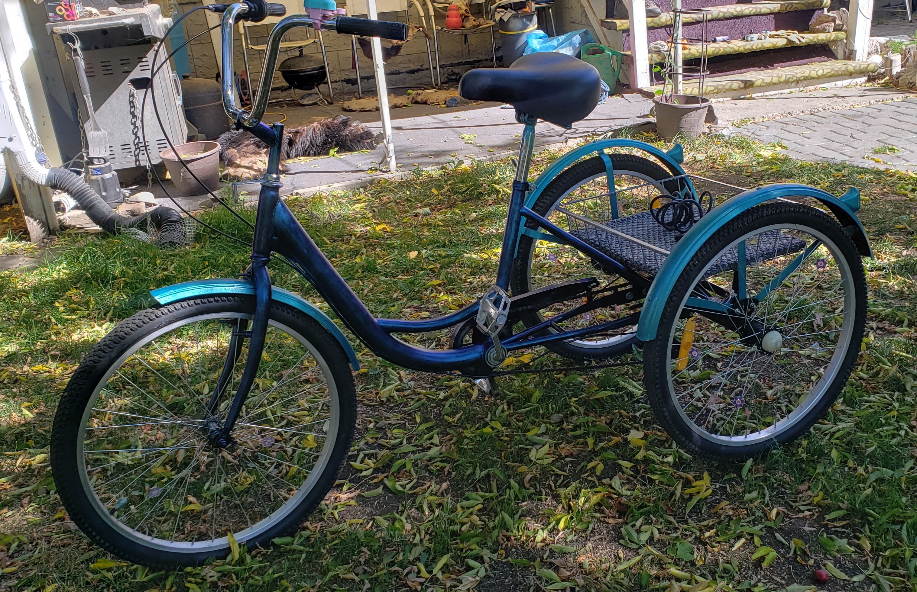 2020 Custom Adult Tricycle tricycle