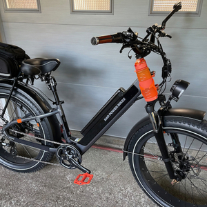 2021 Rad Power Bikes Step-Thru