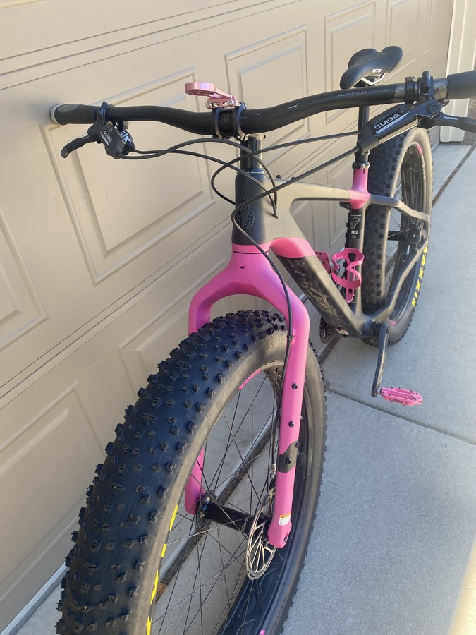 2021 Salsa Beargrease