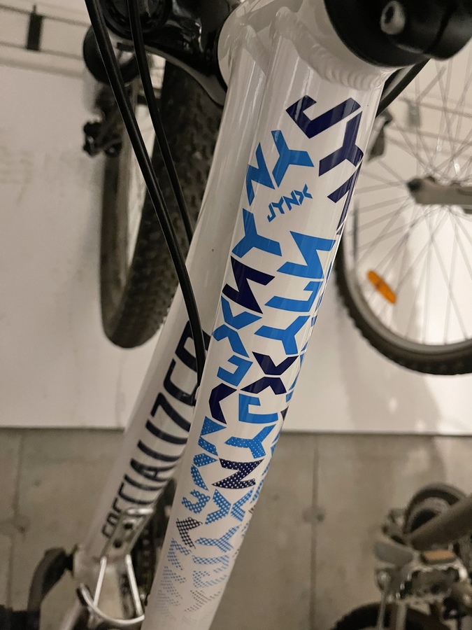 2016 Specialized Jinx