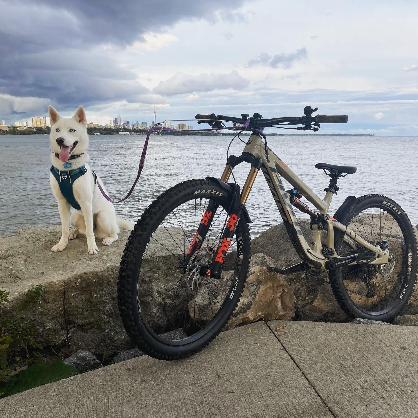 2020 Pivot Firebird 29