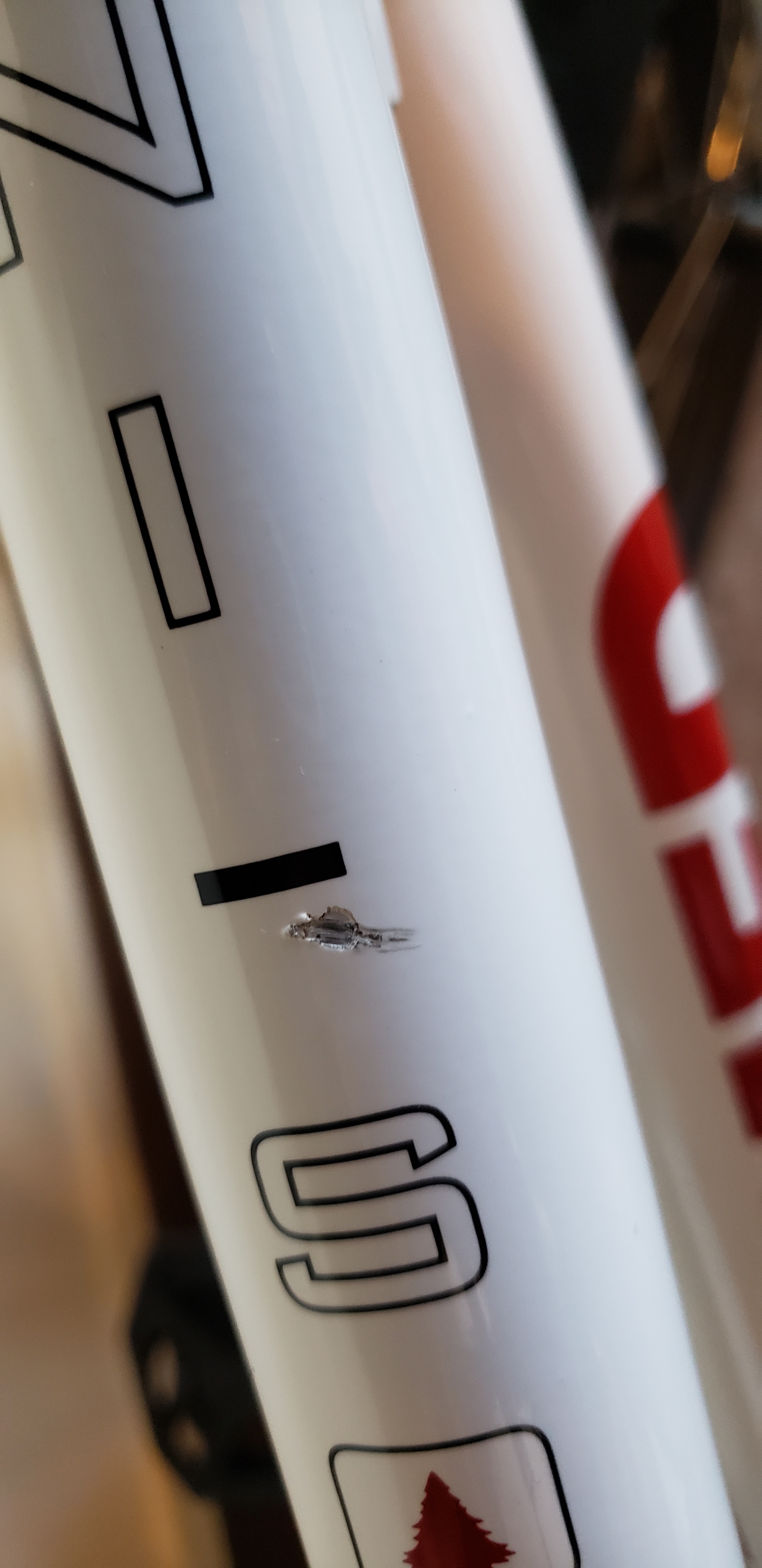 2021 FRAMED Mini-sota