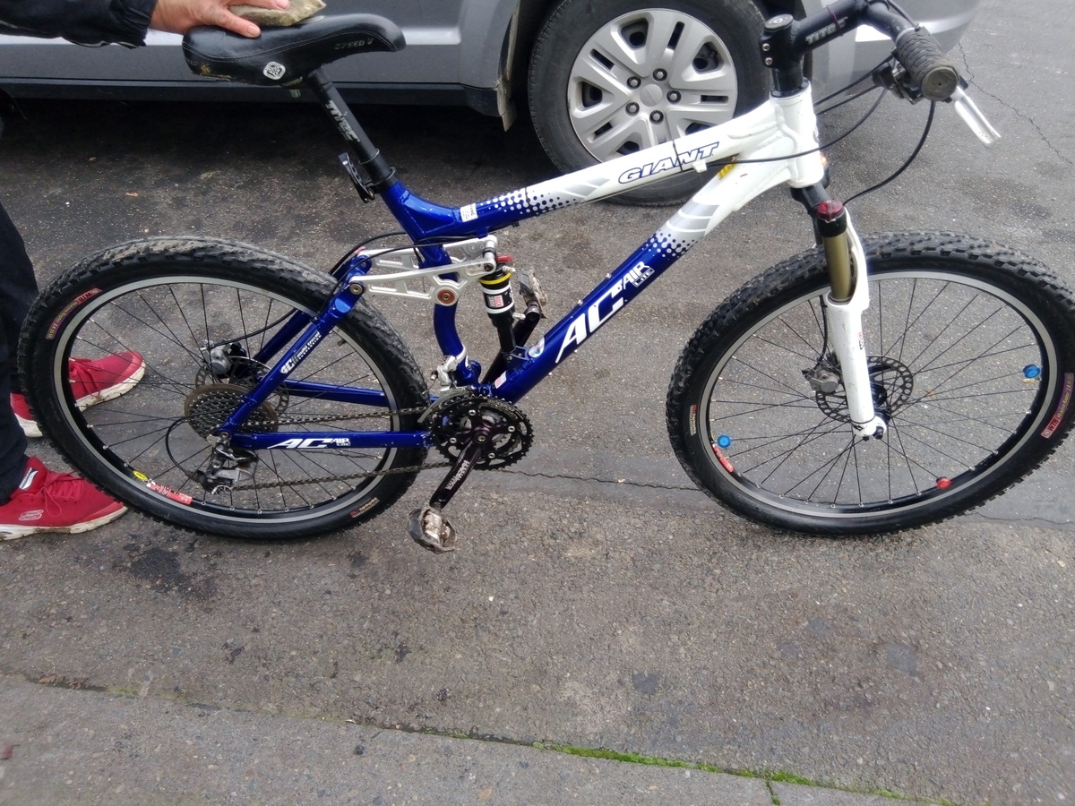 2002 Giant Mountain Bike