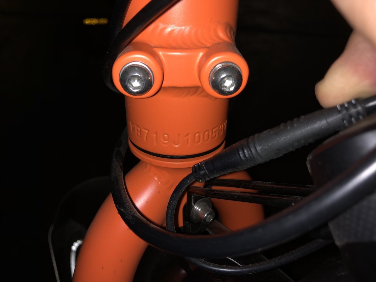 Stolen 2019 Rad Power Bikes RadWagon 3 cargo bike rear