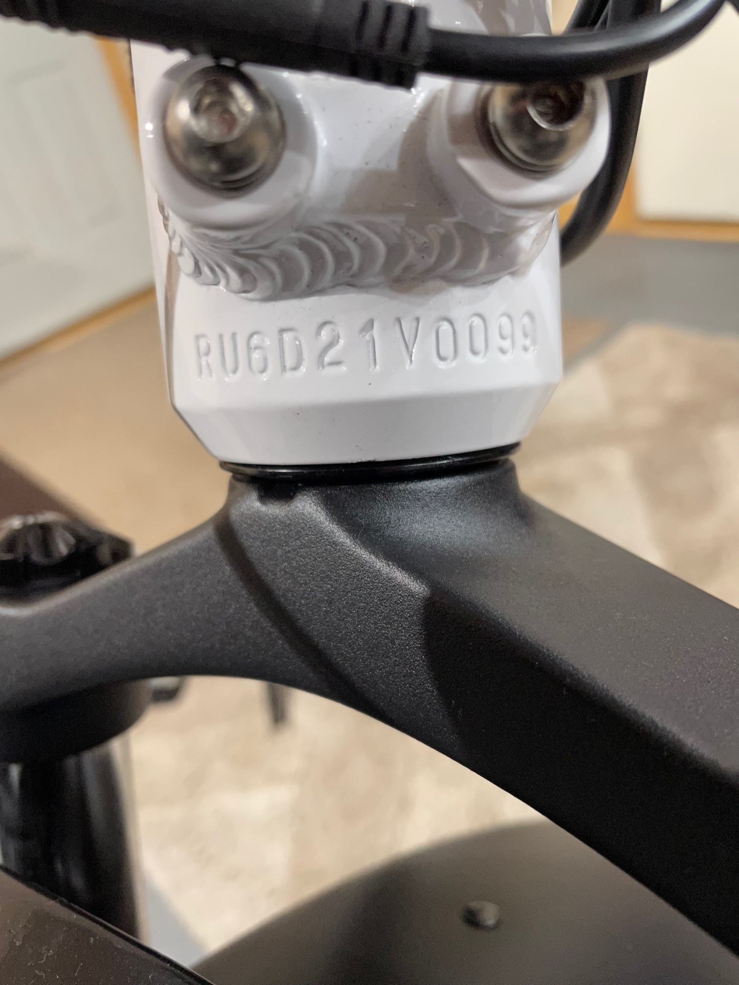 2021 Rad Power Bikes RadRover Step Through Fat Tire