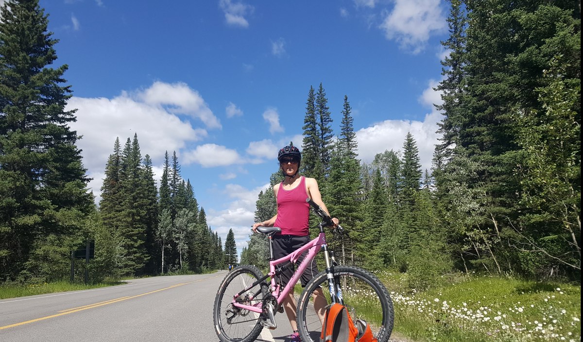 2014 Gary Fisher Genesis