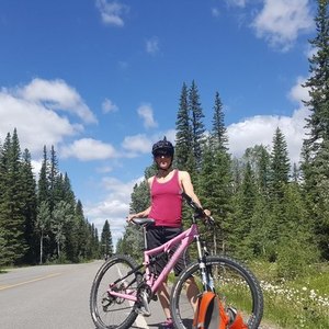 2014 Gary Fisher Genesis