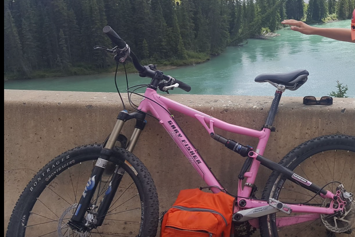 2014 Gary Fisher Genesis