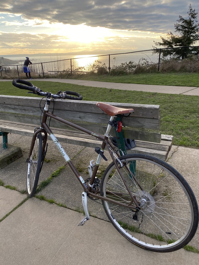 Stolen 2013 Novara Safari