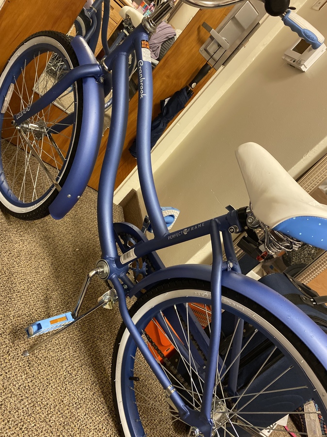 2019 Huffy Perfect Fit frame