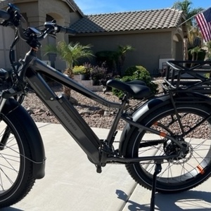 2021 Rad Power Bikes RadRover 6 Plus