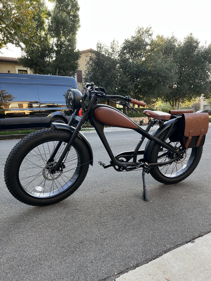 2021 Revi Bike cheetah