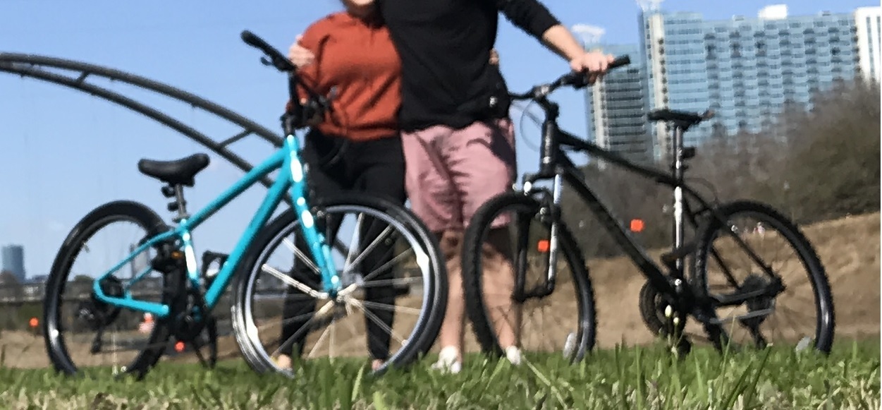 Stolen 2021 Specialized Roll
