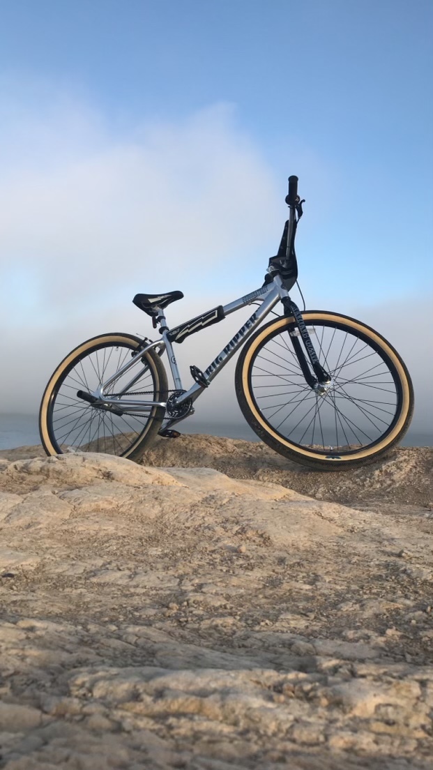 Stolen 2020 SE Bikes