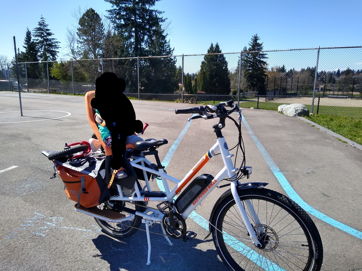 Stolen 2020 Rad Power Bikes Rad Wagon 3