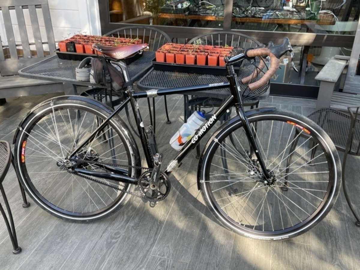 2015 Co-Motion Americano w/ S&S Couplers