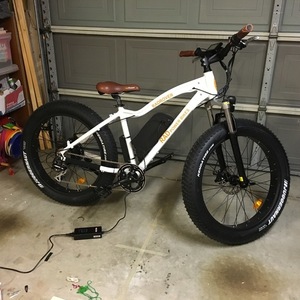 2016 Rad Power Bikes RadRover