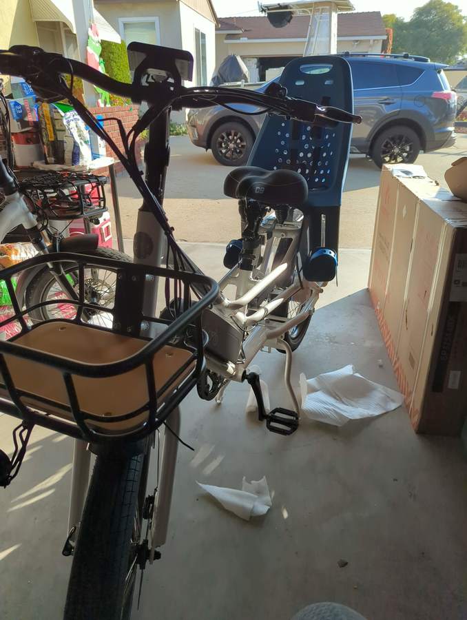 2020 Rad Power Bikes Radwagon 4
