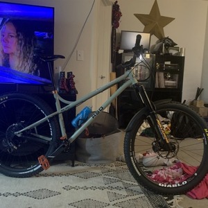 Stolen 2021 RSD RS-291