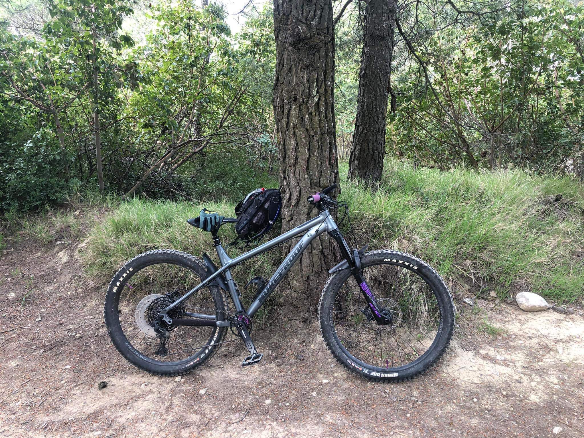 Stolen 2020 Nukeproof Scout