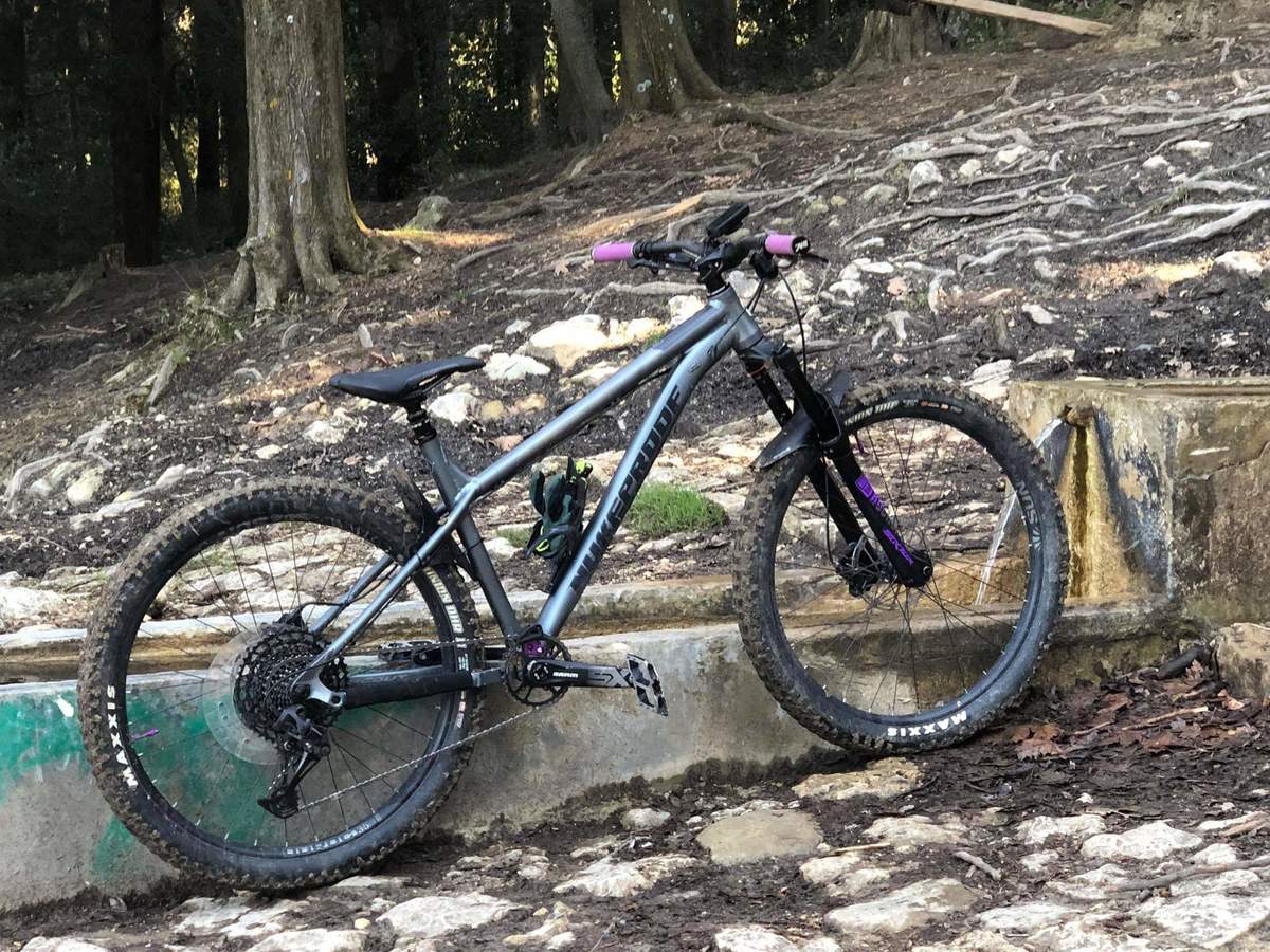 Stolen 2020 Nukeproof Scout