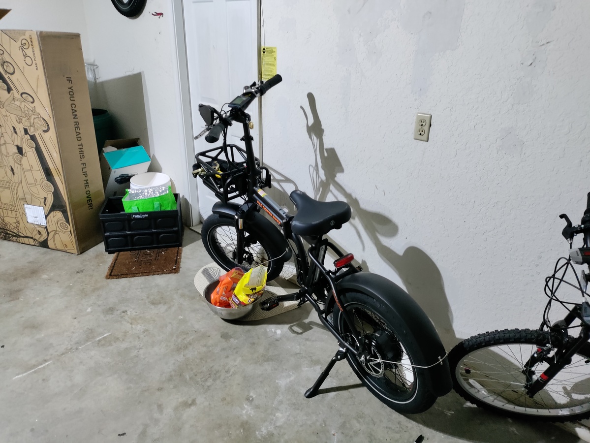 2021 Rad Power Bikes Radmini 4