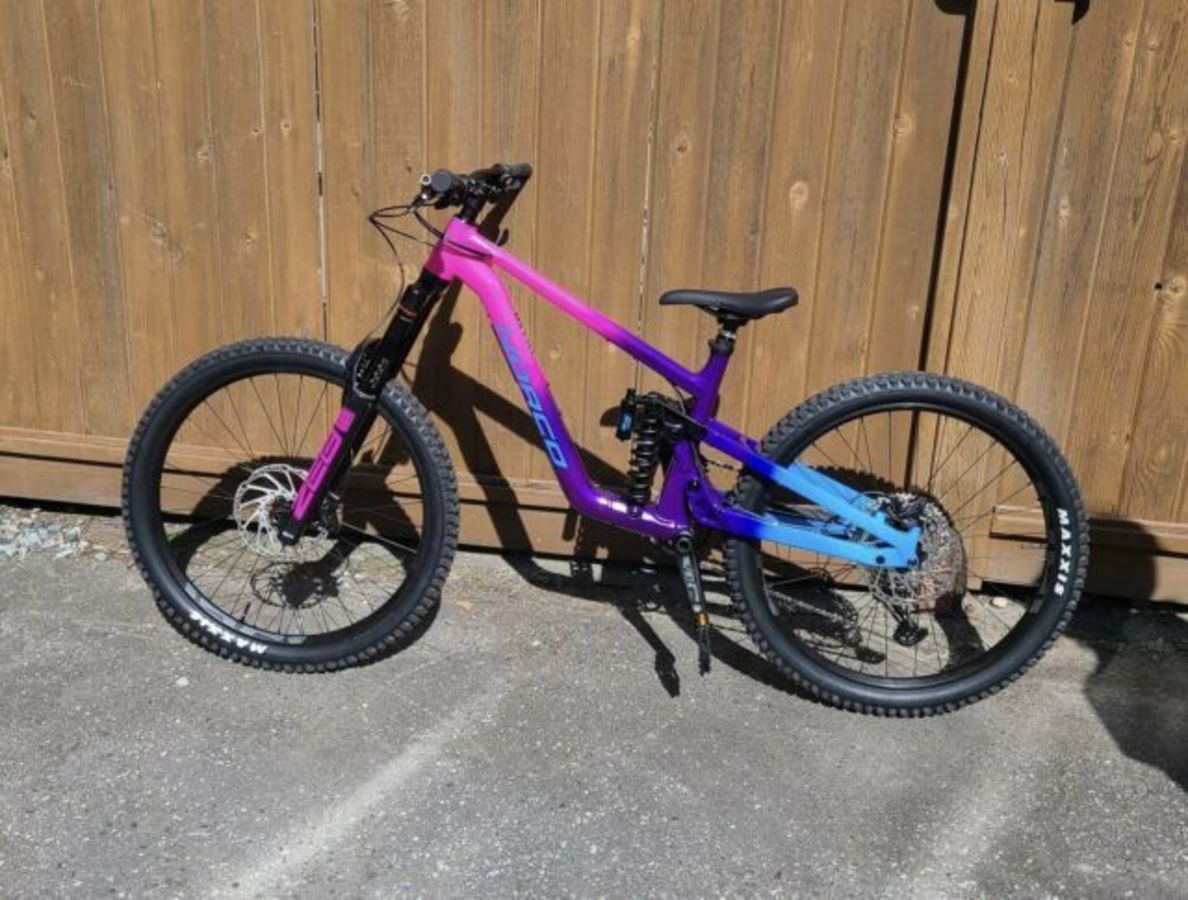 2021 Norco Bikes Shore 2