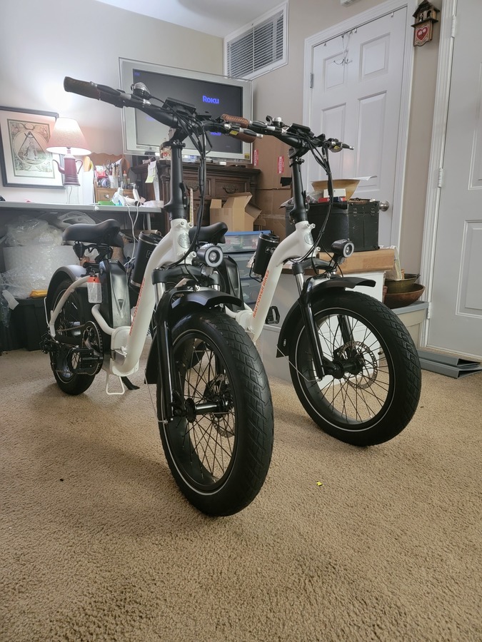 2020 Rad Power Bikes MINI STEP THRU 2