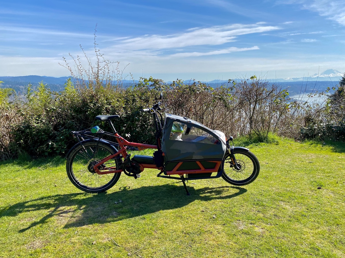 2020 Riese und Müller Load 60 cargo bike (front storage)