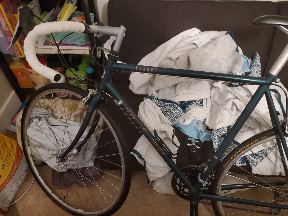 Stolen 1995 Giant Kronos