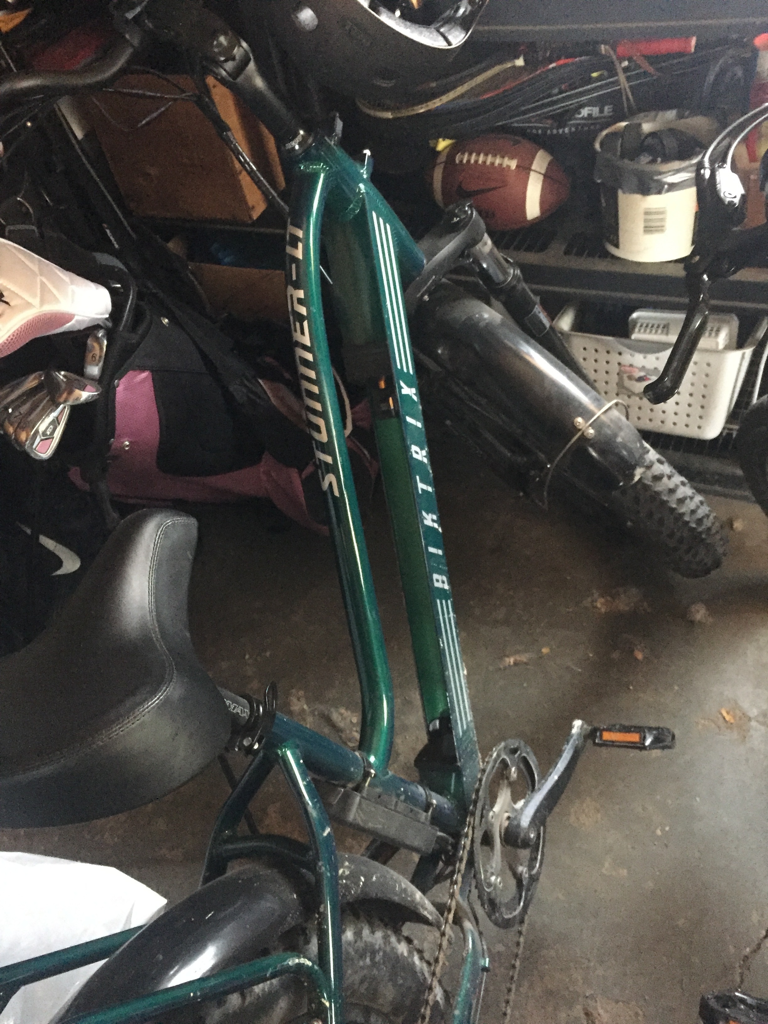 2021 Biktrix Stunner L