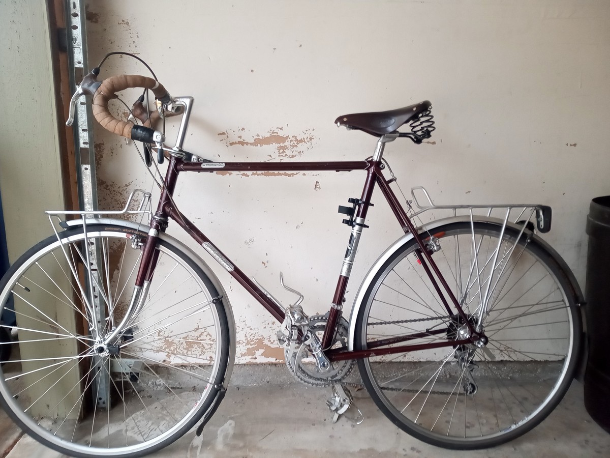 1982 Raleigh Touring 14