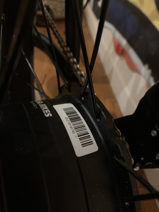 2021 Rad Power Bikes RAD RUNNER