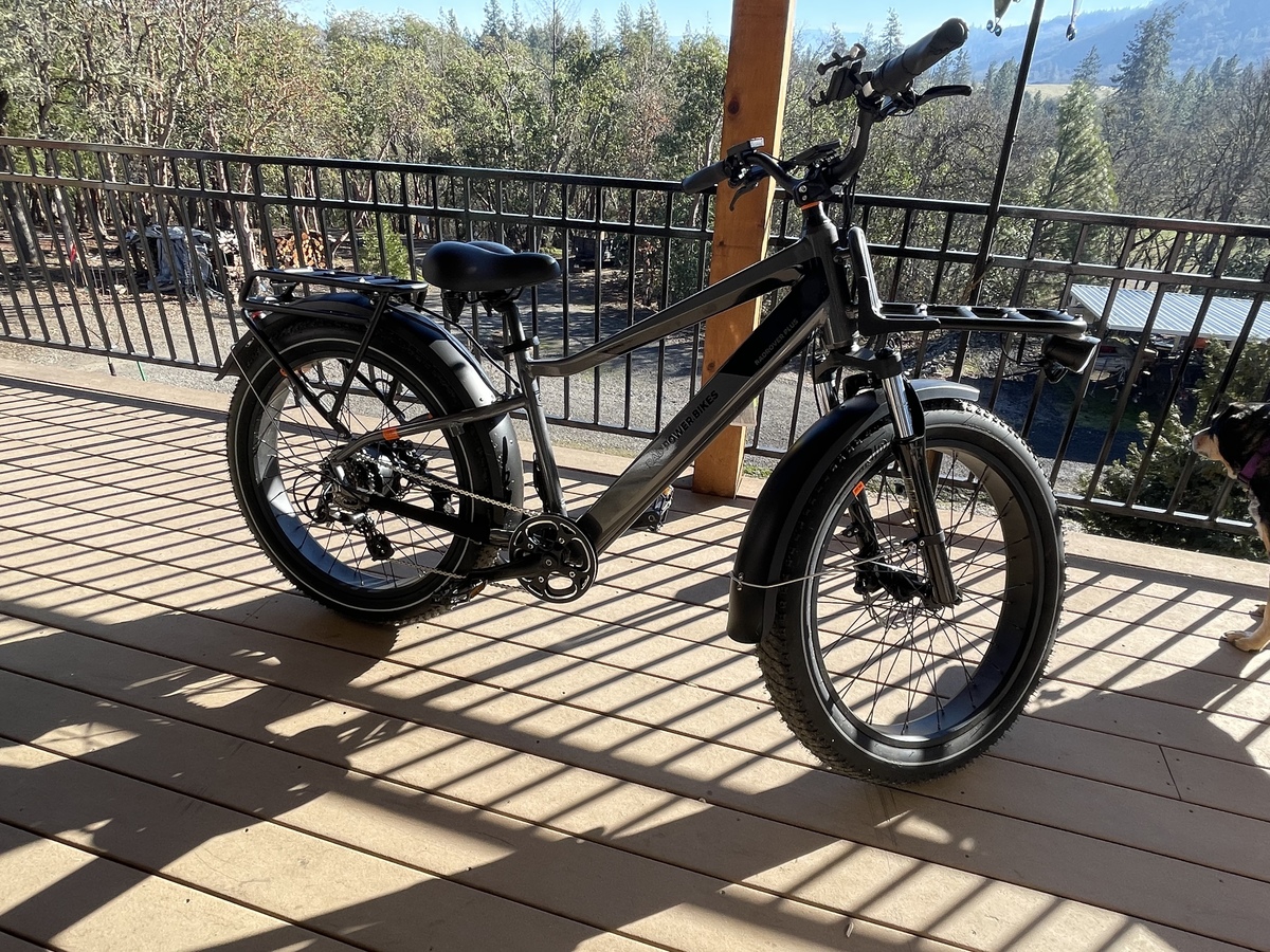 2021 RAD Rad rover 6 plus