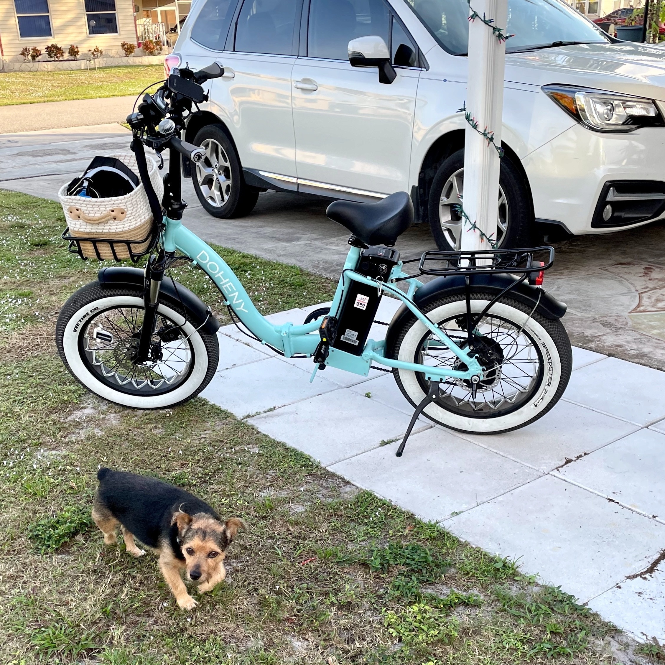 2021 Doheny Bike EZ FOLDING 750W E-BIKE