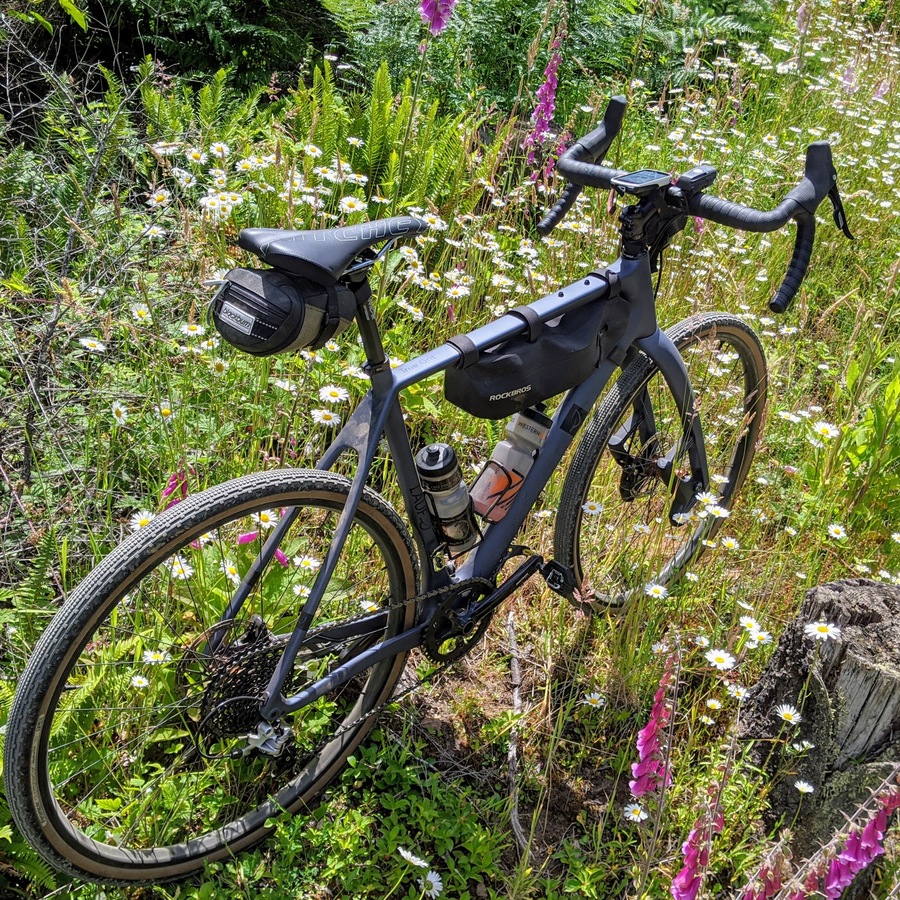 2021 Lauf True Grit Gravel