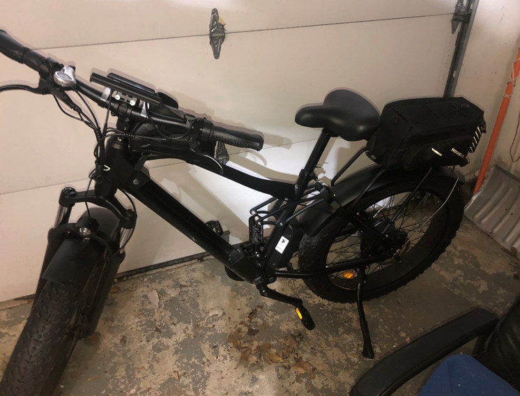 2021 BEE COOL Adventurer