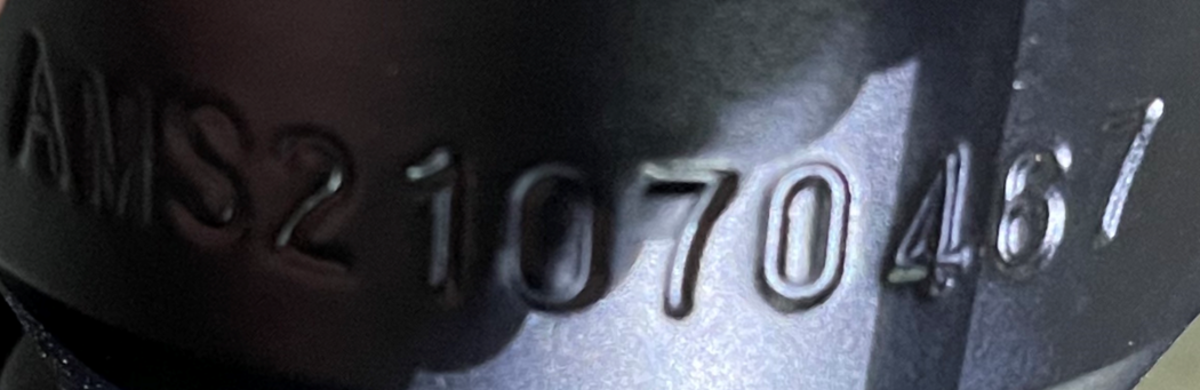 2021 BEE COOL Adventurer