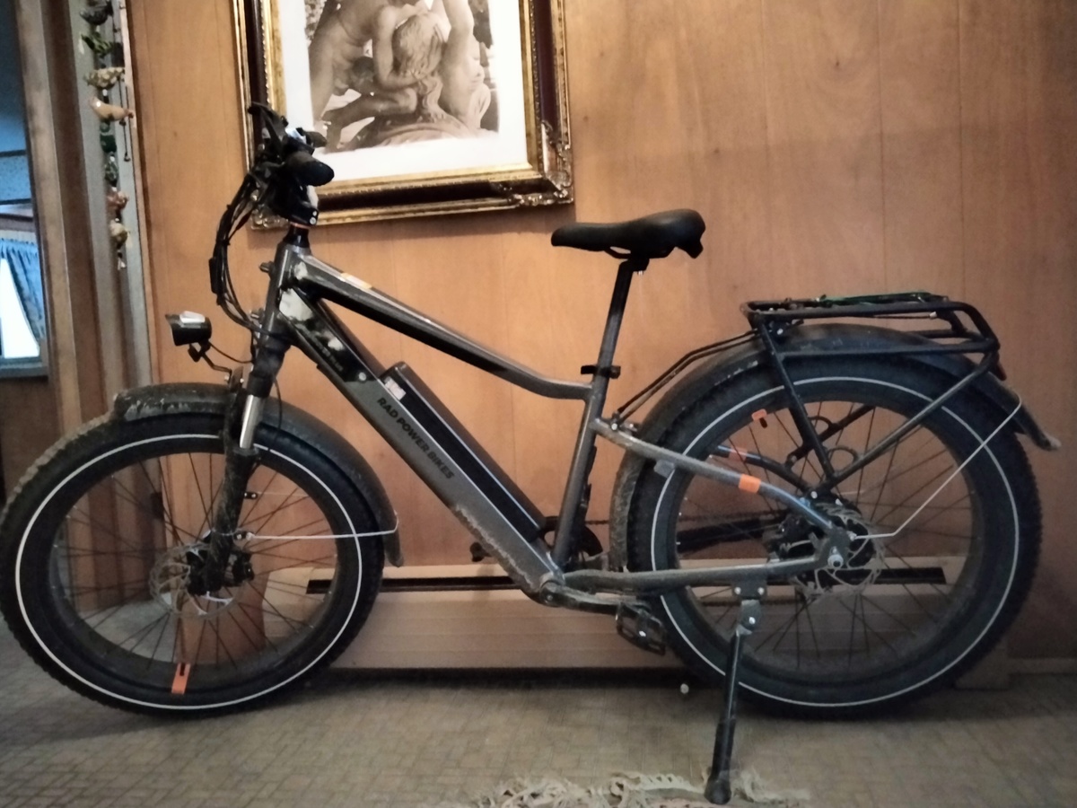 2021 Rad Power Bikes RadRover 6 Plus