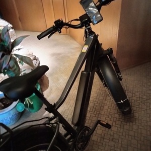 2021 Rad Power Bikes RadRover 6 Plus