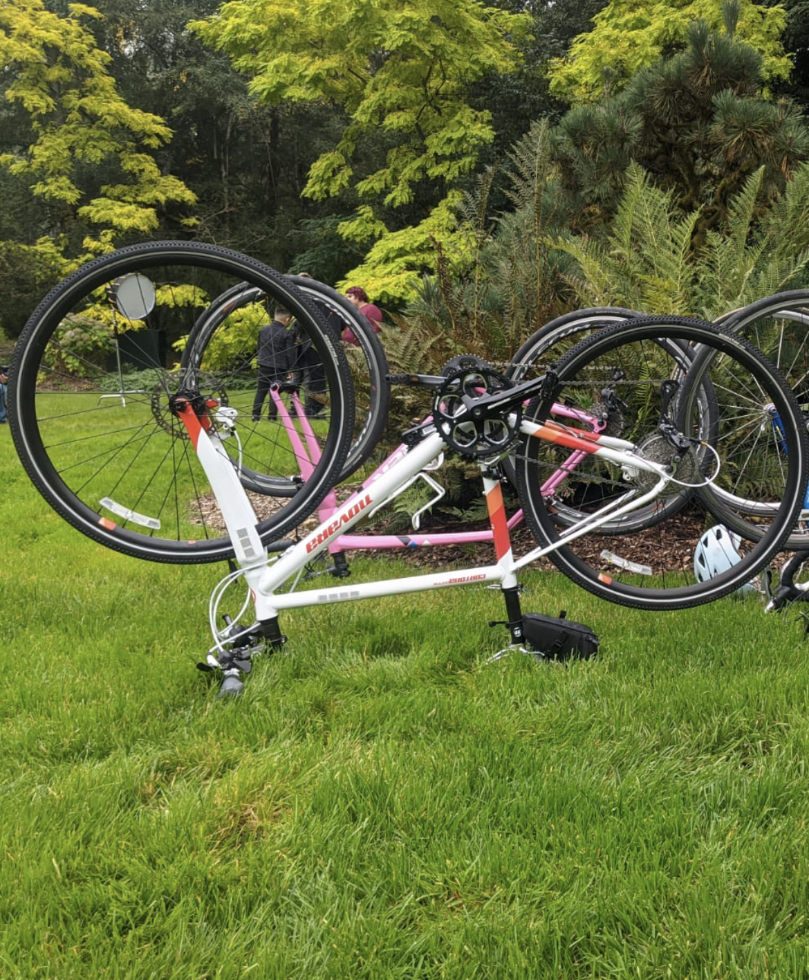 Stolen 2016 Novara Cortona Donna